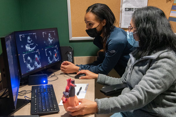 A Day in the Life of a Fellow | Cardiovascular Disease Fellowship ...