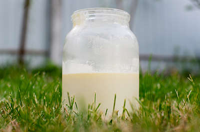 Bee And Wasp Stings: A Go-To Guide | Henry Ford Health - Detroit, MI