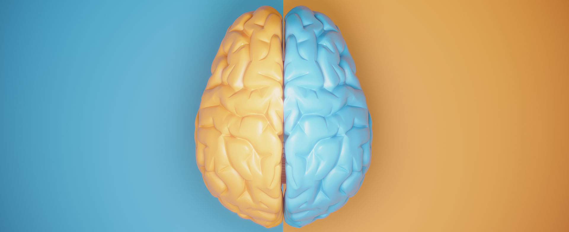 Left Versus Right Side Stroke: How Stroke Location Impacts The Body ...