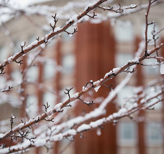 Frigid Temps: Cold Weather Safety Tips From An ER Doctor | Henry Ford ...