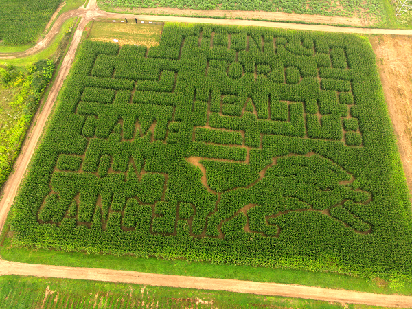 Game On Cancer and Detroit Lions Themed Corn Maze | Henry Ford Health ...